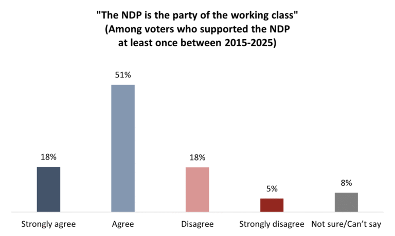 NDP Leadership Race Uncertain