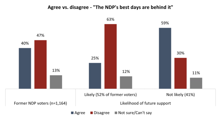 NDP Leadership Race Uncertain